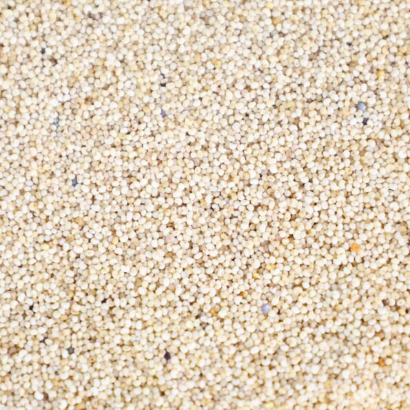 POPPY SEED/KASA KASA - Kannadiyar